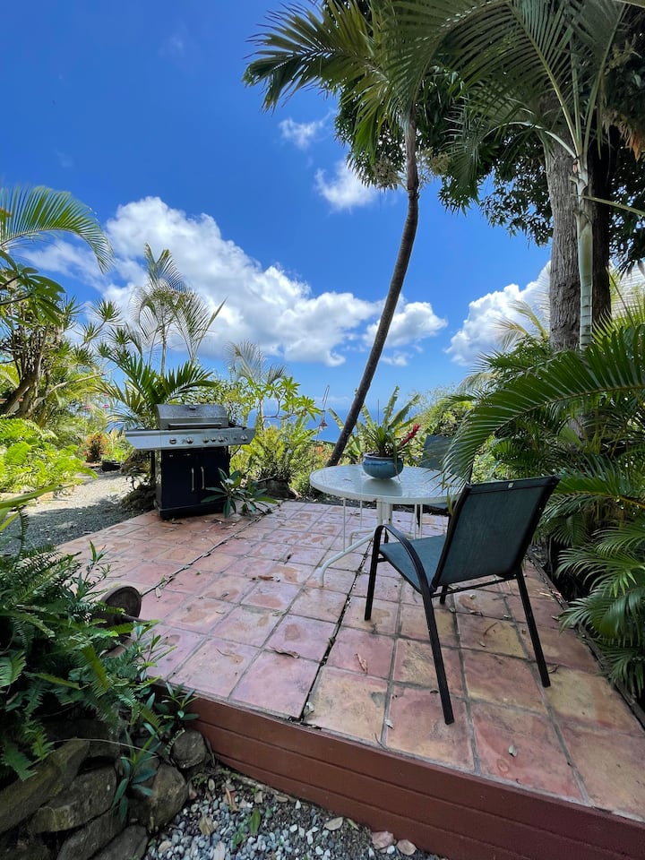 Studio Apartment On Lush, Tropical Northside - Saint Thomas