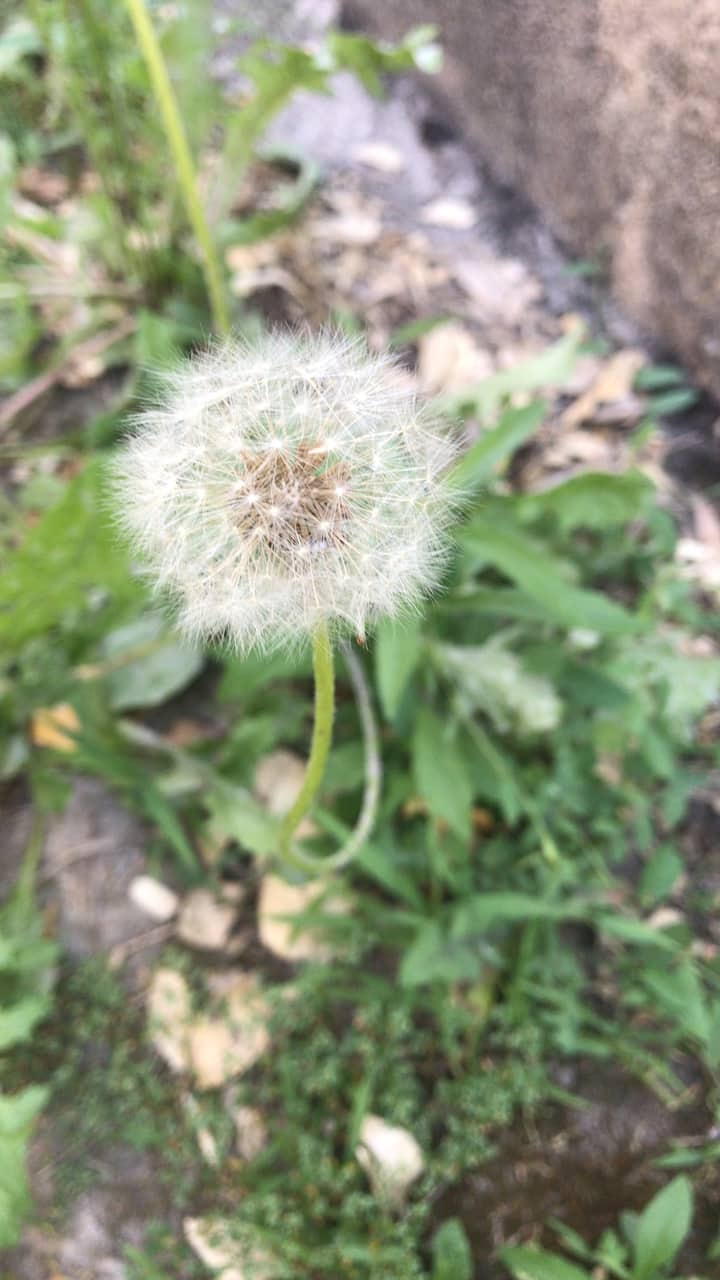 In Relax à Mougins - Mougins