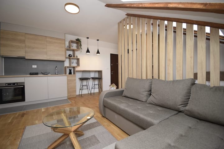 Studio Apartment Art Zone Ii - Podgorica