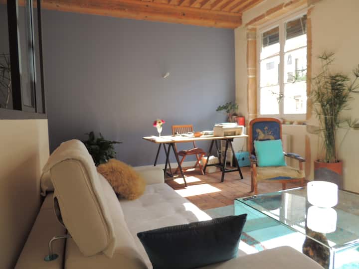 Chambre Cosy Dans Bel Appartement Hypercentre - Caluire-et-Cuire