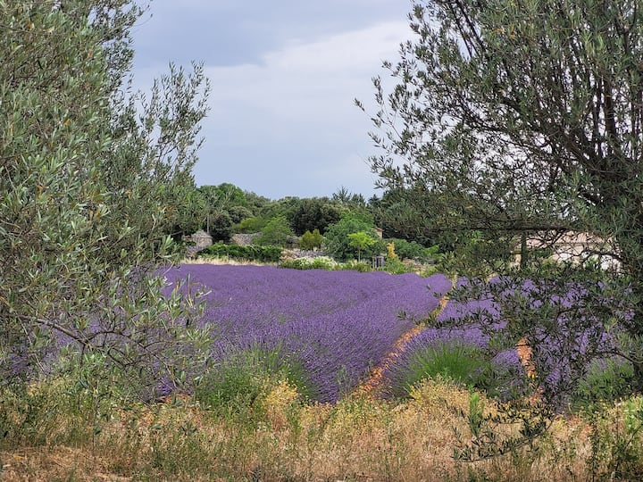 Gîte "Les Dolmens " 4 Personnes " - Ardèche