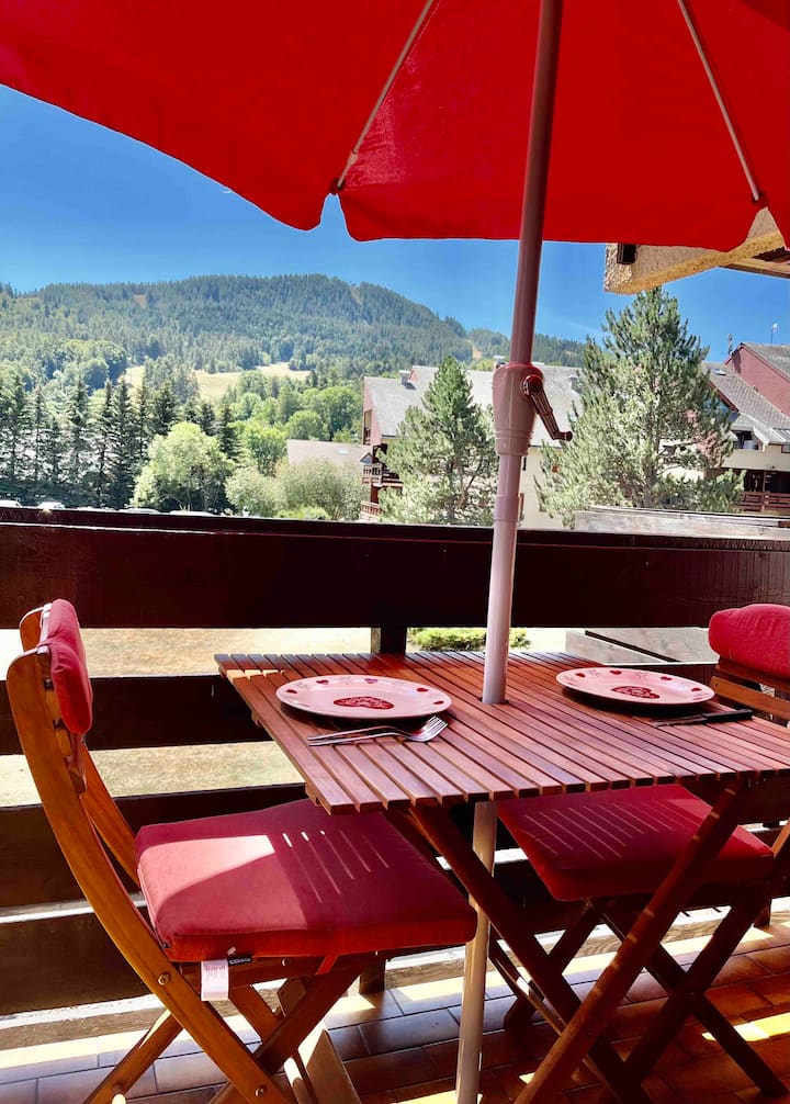 Appartement Cosy T2, 4 Couchages à 5mn Des Pistes - Ancelle