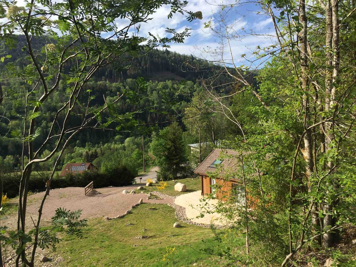 Alps Ski-In/Out Holiday Rentals | Airbnb