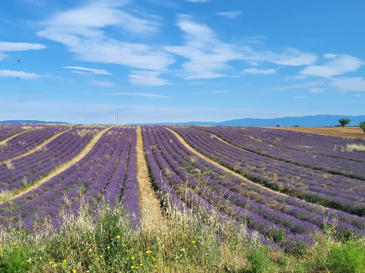 Gîte "Stella" Du Moulin De La Batteuse - Valensole