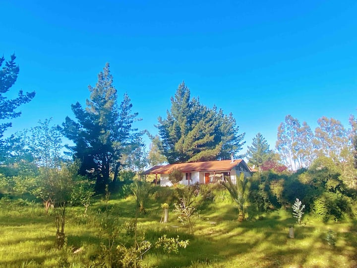 Parcela, 6 Mil
M2, Tranquilo Entorno Y Naturaleza - Chile