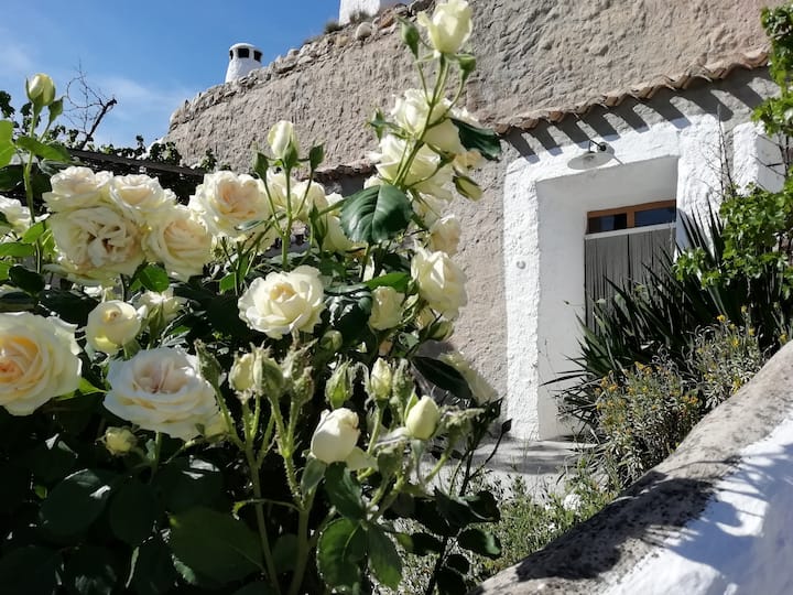 Bonita Casa Cueva De 4-6 Plazas - Baza