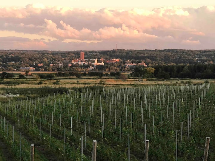 Starr’s Point Vineyard Escape - Wolfville