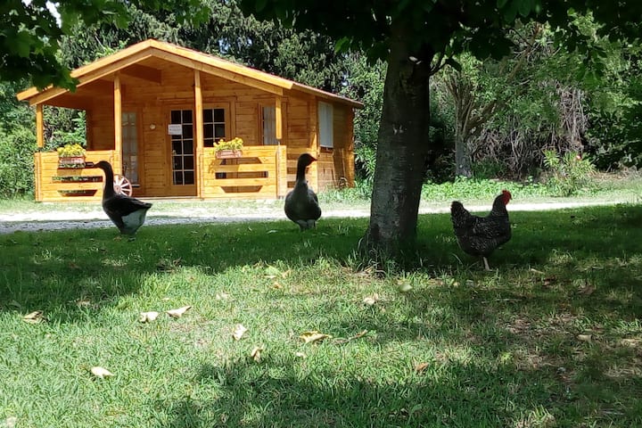 Gîtes à La Ferme - Fontvieille