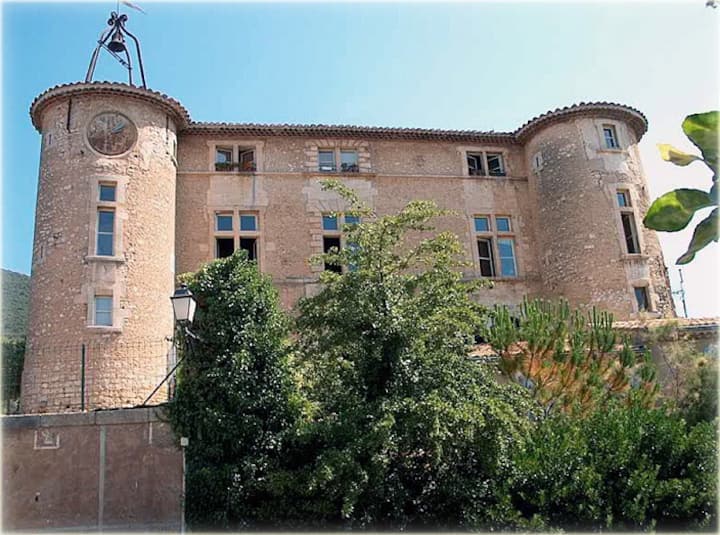 Appartement N° 2- 2 Places Château Xvii èMe Siècle - Apt