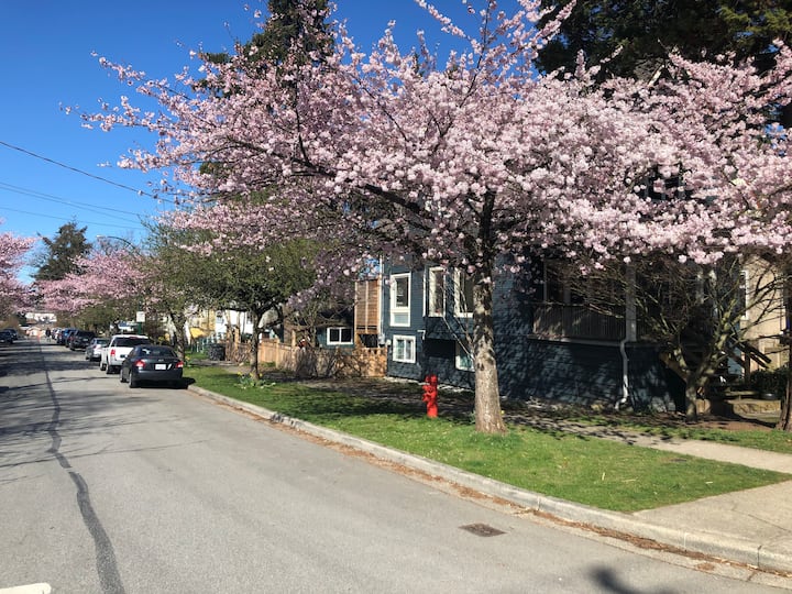 Garden Suite Near Trendy Fraser/main St - Vancouver