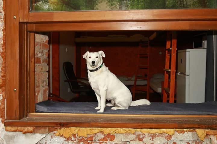 Stylish Studio -Garden-great Central Location! - Košice