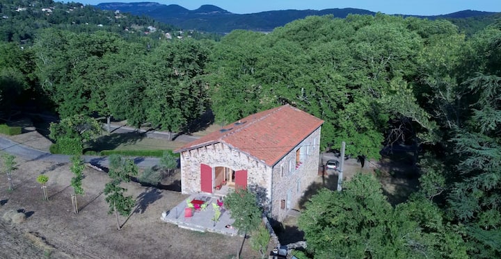 La Cave De St Martin - Lodève