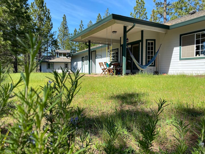 Cozy 3bd Cottage On 5 Acres Of Forest - Placerville