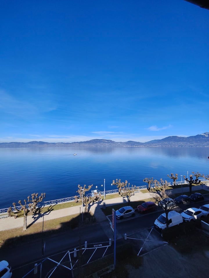 Appart, Vue Superbe Lac Léman - Vevey