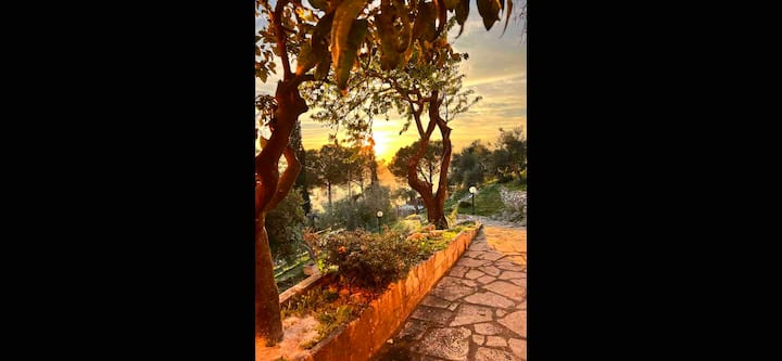 Podere Bellavista Viste Mozzafiato A Tivoli - Tivoli