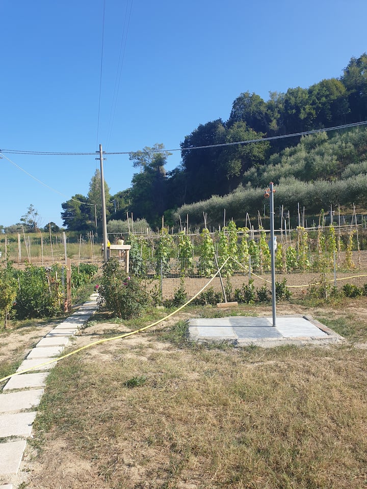 Marina Palmense  Mare A 150 Mt - Pedaso