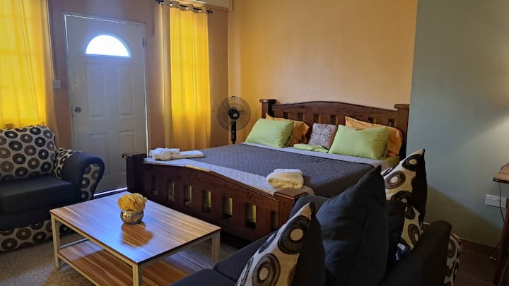Aaliyah's Inn - Executive - Roseau