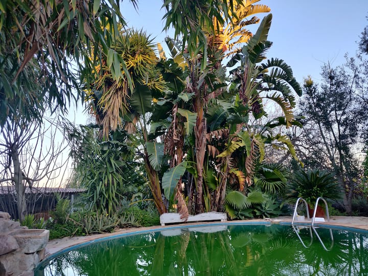 Cozy Cottage Garden & Pool - Fuseta