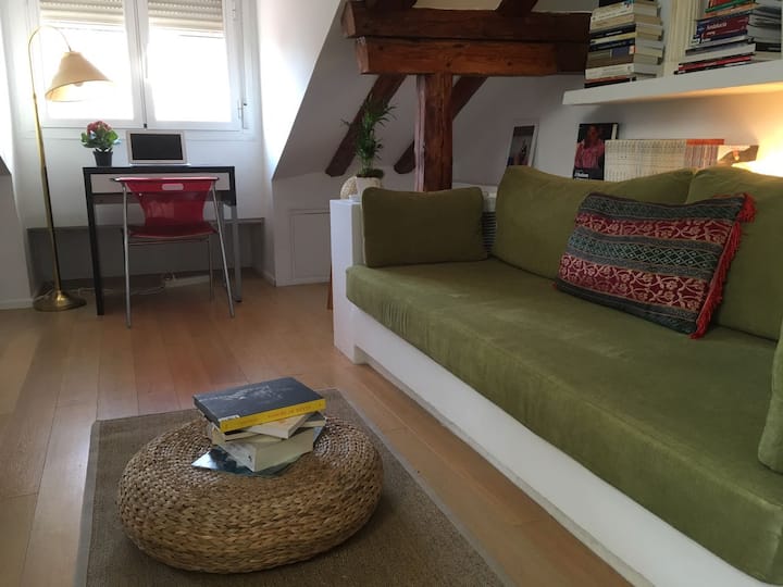 Buhardilla De 1860 En Madrid - Alquiler Temporal - Madrid