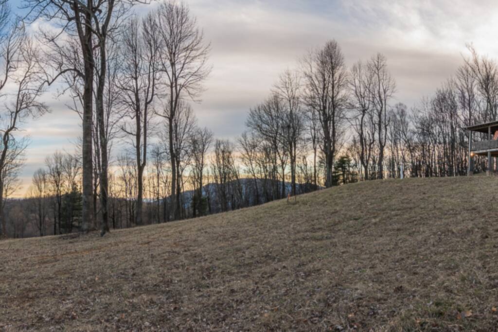 The Sanctuary - Cabins for Rent in Vesuvius, Virginia, United States