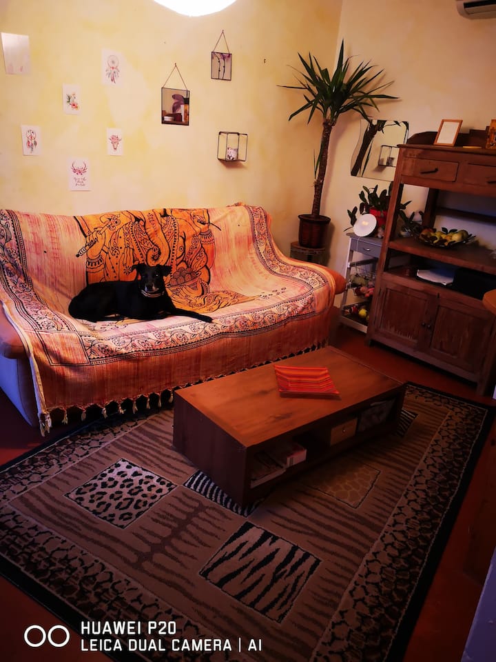 Chambre Dans Maison Provençale (Et Familiale) - Forcalquier