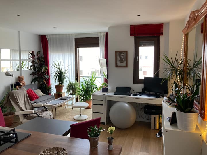 Central Room W/ Sea View Near Beach - Females Only - Tarifa