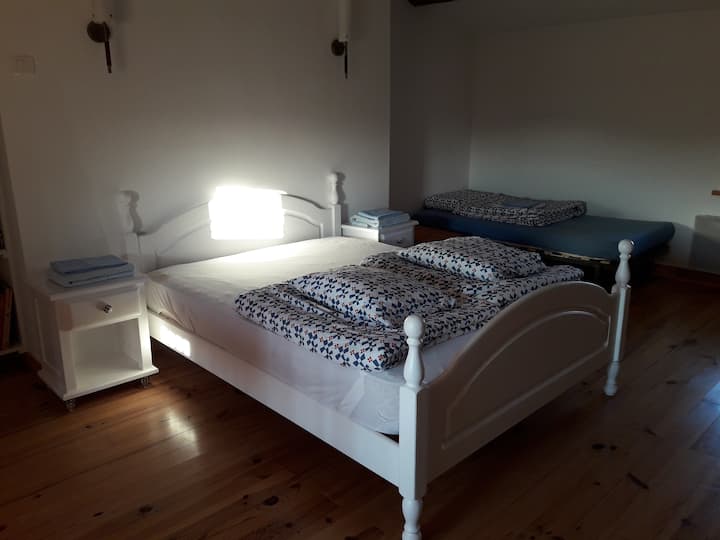 Ferme Du Bas Bocage - Moutiers-les-Mauxfaits