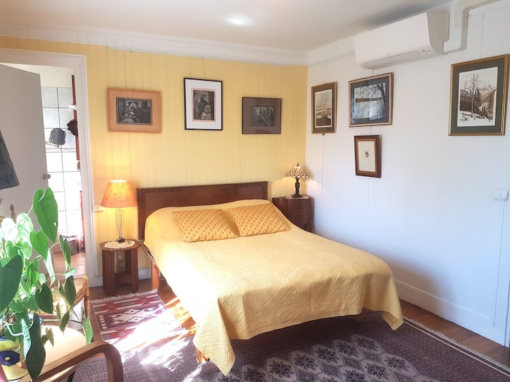 Studio Chaleureux, A/c, Sud-est De Paris - Montgeron