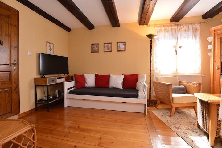 Vieux Pressoir Chambre D’hôte 2 Adultes 2 Enfants - Dambach-la-ville