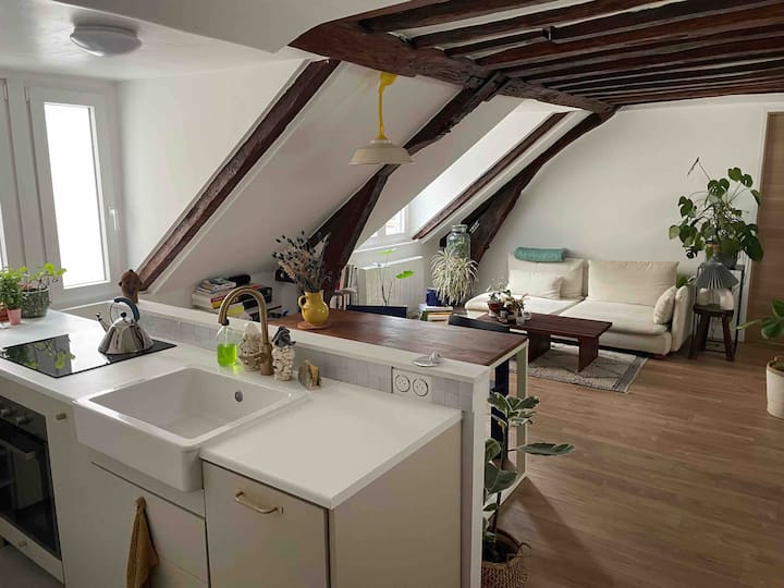 Appartement Lumineux Au Cœur De Paris - 40 M² -