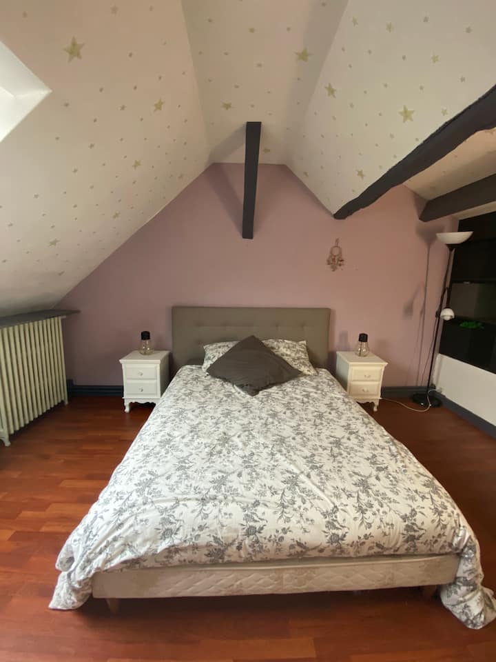 Jolie Chambre Dans Un Appartement En Centre Ville - Châteauroux