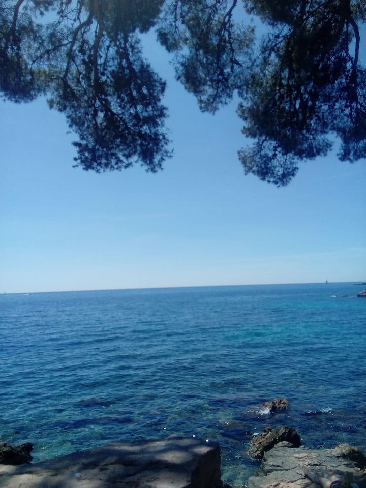 Elsa - La Ciotat