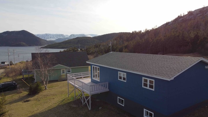 The Blue Jay Perch - Gros Morne National Park Of Canada