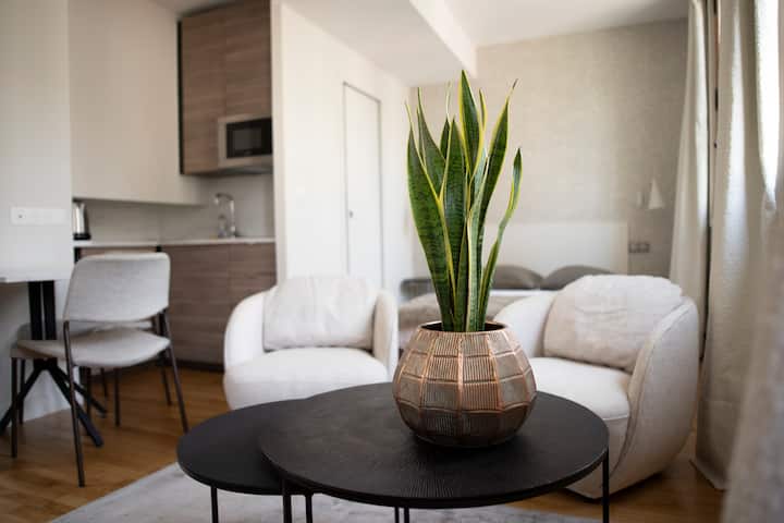 Parlement - Beau Studio Lumineux - Rennes