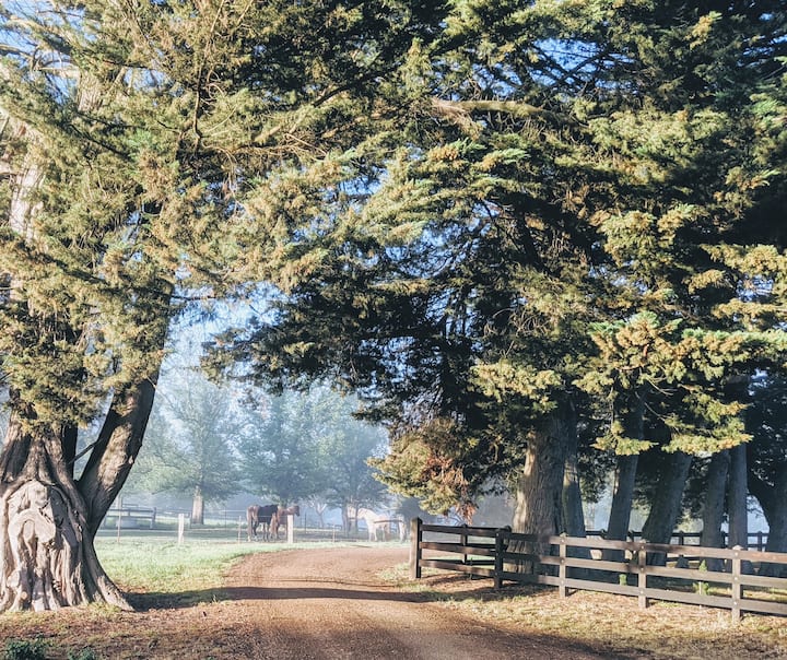 Summerleigh Homestead, C.1876 - Romsey