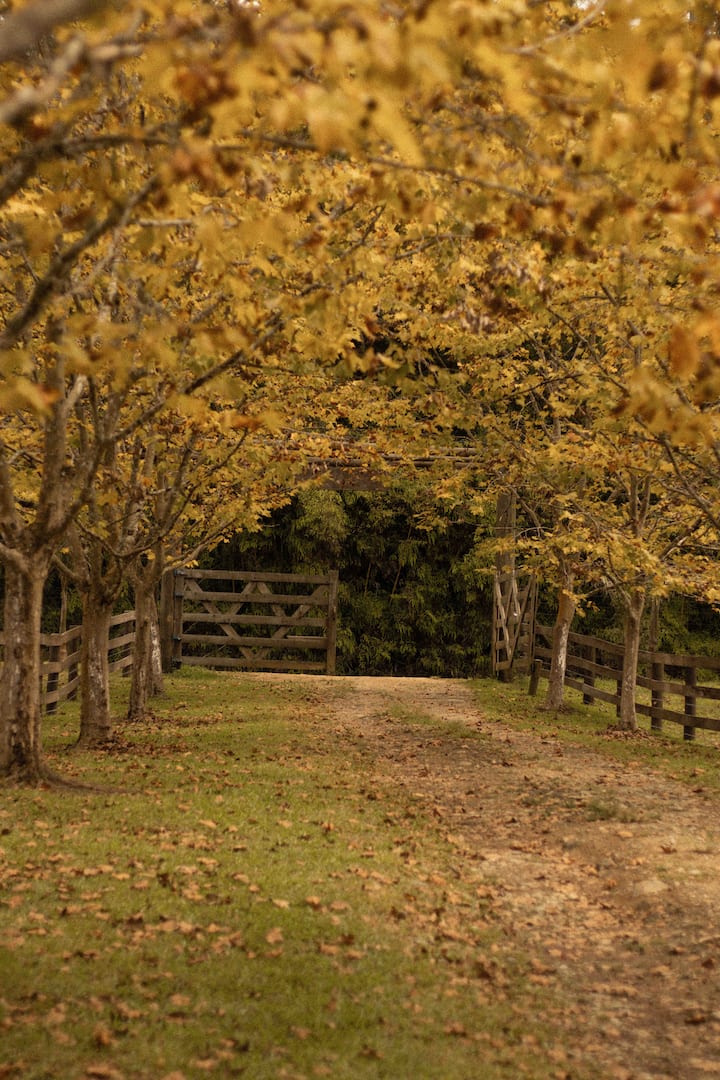 Fazenda Bella Colina - Pomerode