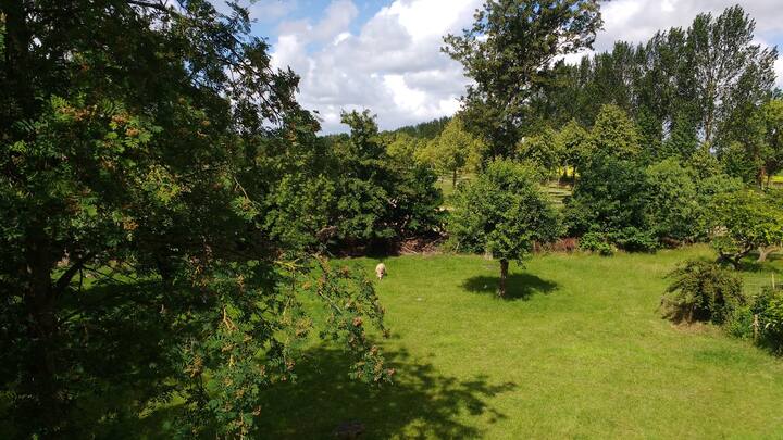 The Hayloft - Emmeloord