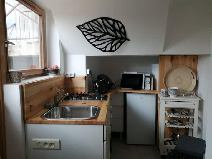 Studio Sur Jardin Au Calme, Proche Centre Et Gare - Ambérieu-en-Bugey