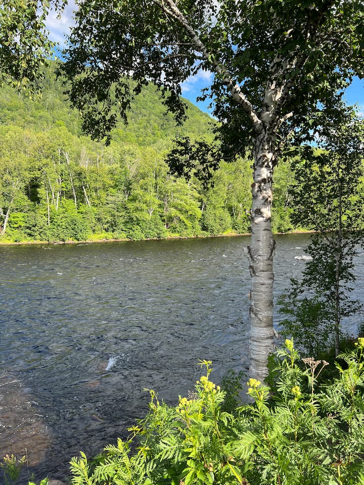 Bella's Retreat On The Androscoggin River - Moose Brook State Park, Gorham