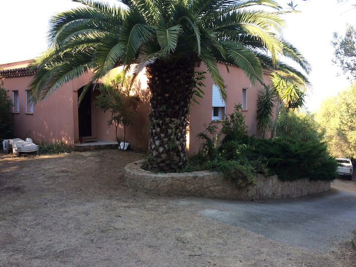 Villa  Arbutu - Olmeto
