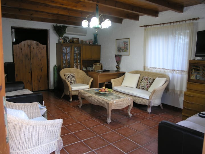 Olive Tree Cottage 1 ( 2 Bedrooms) - Paleochora