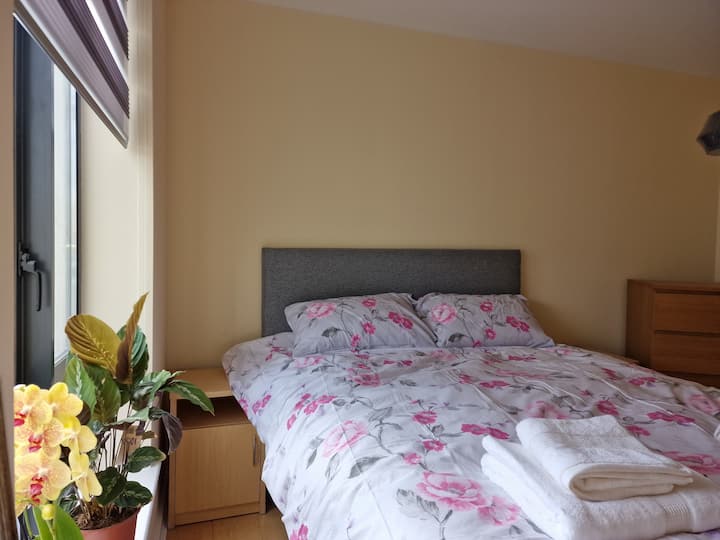 Large Double Room Park Viewing Room C - Dublin