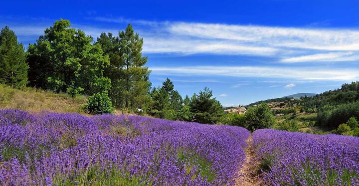 Une Petite Maison - Crest