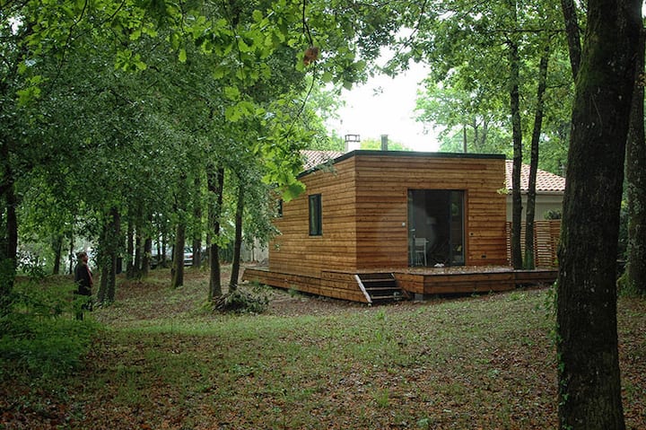 Cabane En Bois Dans La Forêt - Saint-Augustin