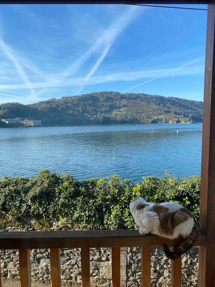 Un Pequeño Sueño Frente Al Mar - Ares