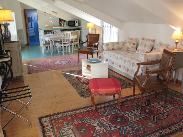 "Angelots" Appartement 60 M² 20mn Centre Paris - Maisons-Laffitte