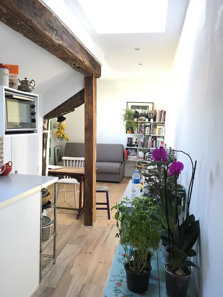 Nice View On Paris Rooftop Bright & Quiet Flat - Musée Bourdelle