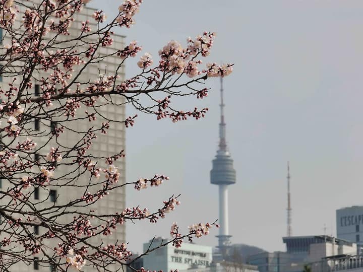 (서울의 중심)3room/명동&남산&서울타워&남대문&신세계백화점&롯데백화점 - Seoul