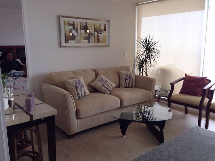 Hermoso Y Moderno Departamento Frente Al Mar - La Serena