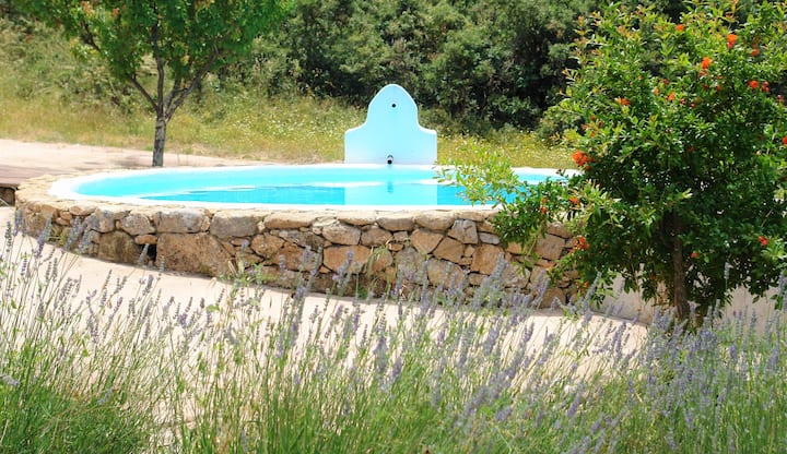 T1 With 80m2 With Pool Amazing Panoramic View - Marvão